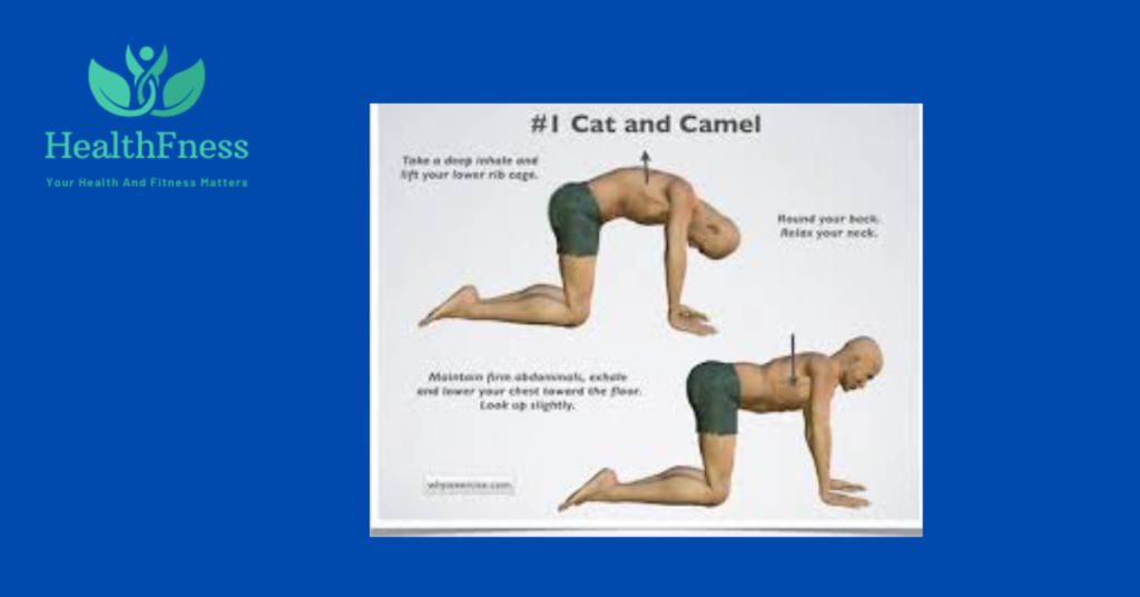 5 Stretches For Lower Back Pain: Say Goodbye to Lower Back Pain ...