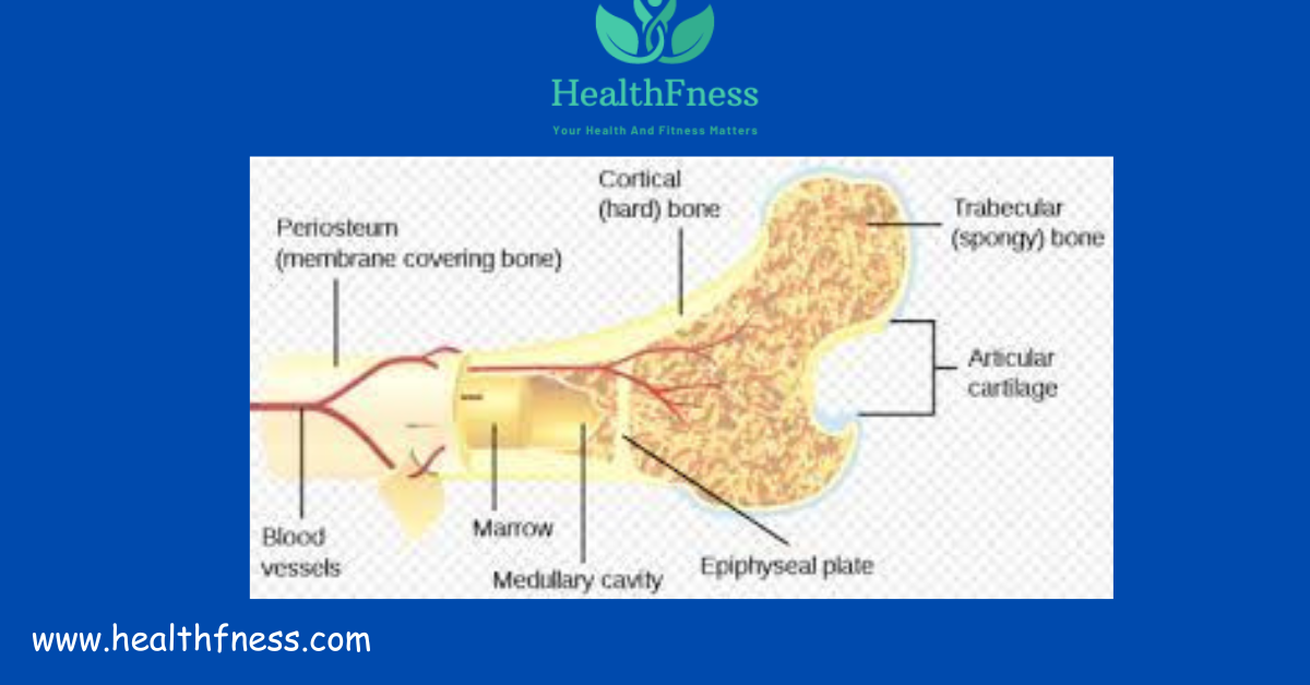 Understanding Bone Marrow Edema Causes Symptoms And Treatment Options2024 Healthfness