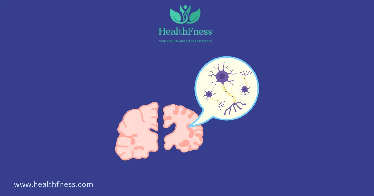 Sugar and Alzheimer's Disease: The Sweet Connection | HealthFness